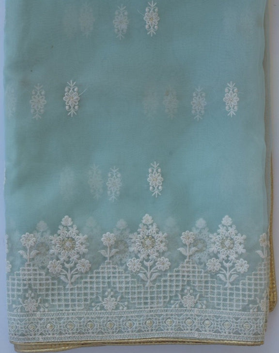 Blush Blue Chikankari Organza Dupatta – anokherang